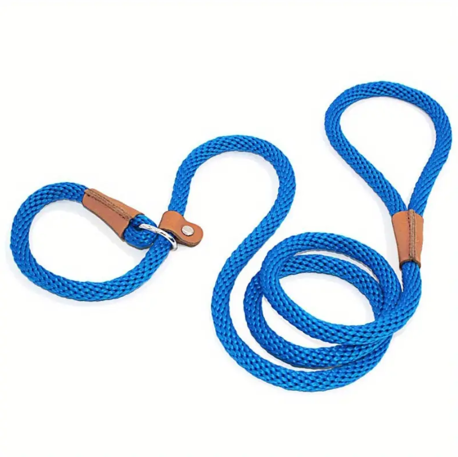 Slip leads – Riot Jewels